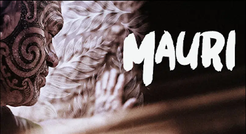 Changing hearts through Arts & Culture - Discussion Space - WEAll Together